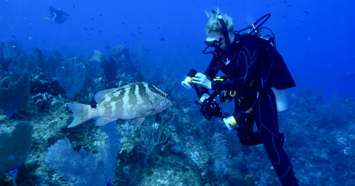 Scuba Safety - US Travel Centers
